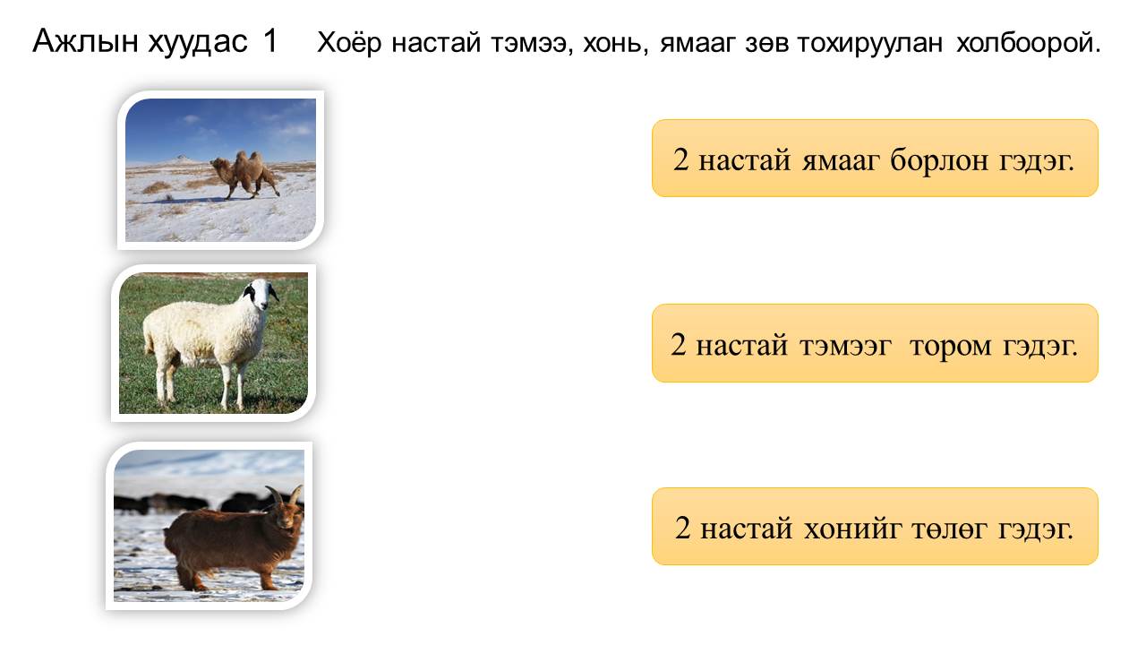 Мэдлээ Цахим контент